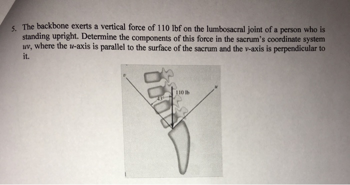 Solved The backbone exerts a vertical force of 110 lbf on | Chegg.com