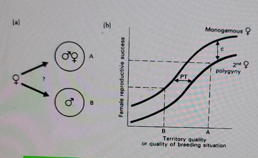 Solved True/False 1. In most species, maternal care is less | Chegg.com