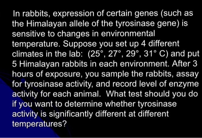 Solved In rabbits, expression of certain genes (such as the | Chegg.com