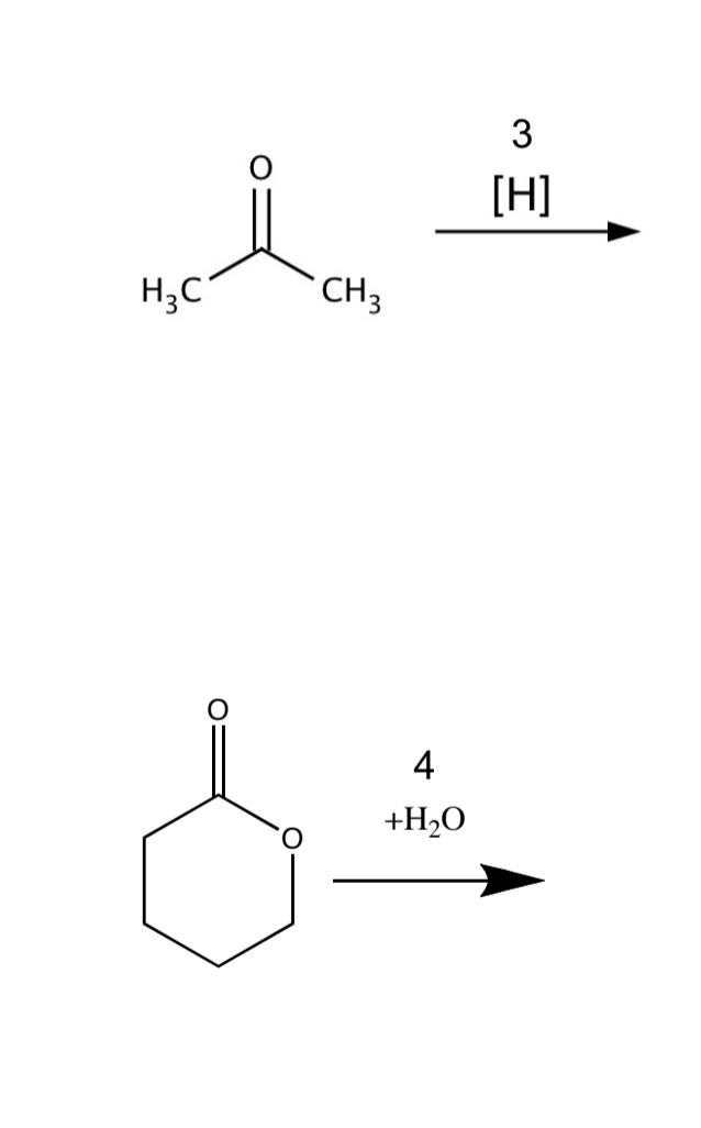 Solved Complete The Following Enzyme Catalyzed Reactions
