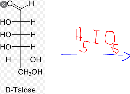 Solved H 20 HO- HO H HO HH H -OH CH2OH D-Talose | Chegg.com