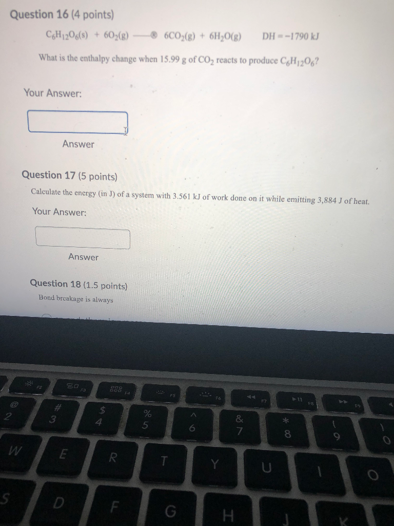 Solved Question 16 (4 points) C6H1206() + 602(8) -Ⓡ 6C02(8) | Chegg.com