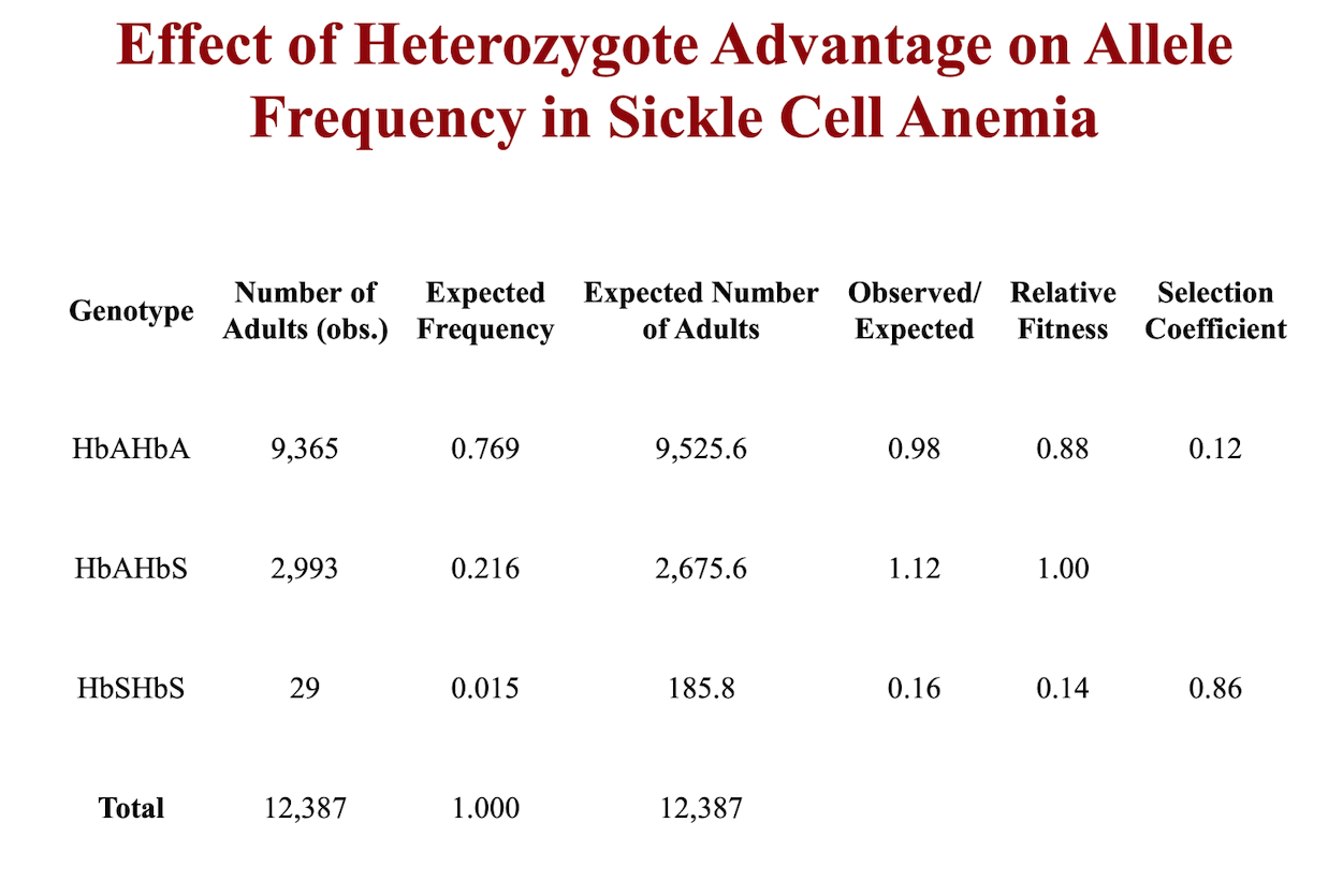 Solved Effect of Heterozygote Advantage on Allele Frequency | Chegg.com