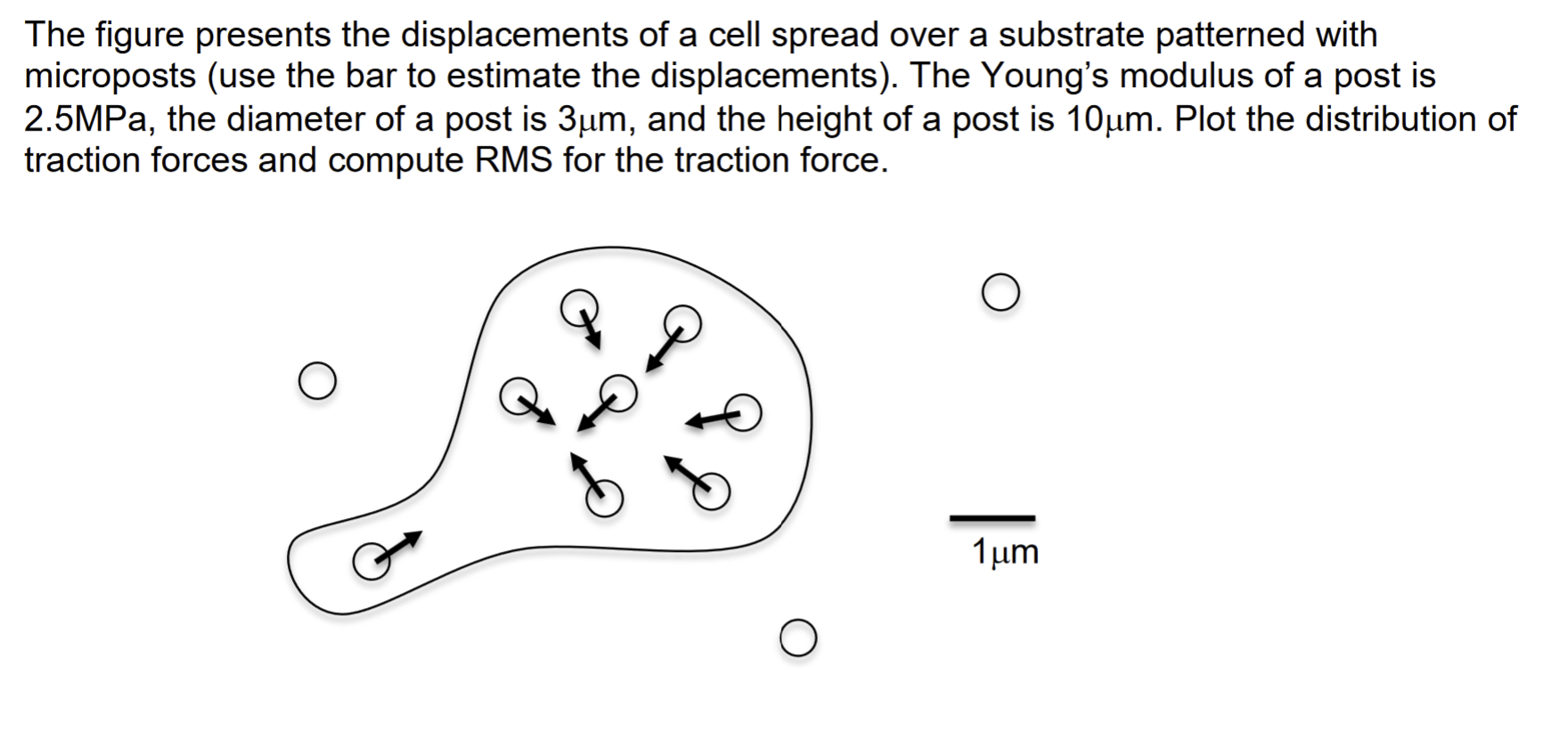 Solved The figure presents the displacements of a cell | Chegg.com