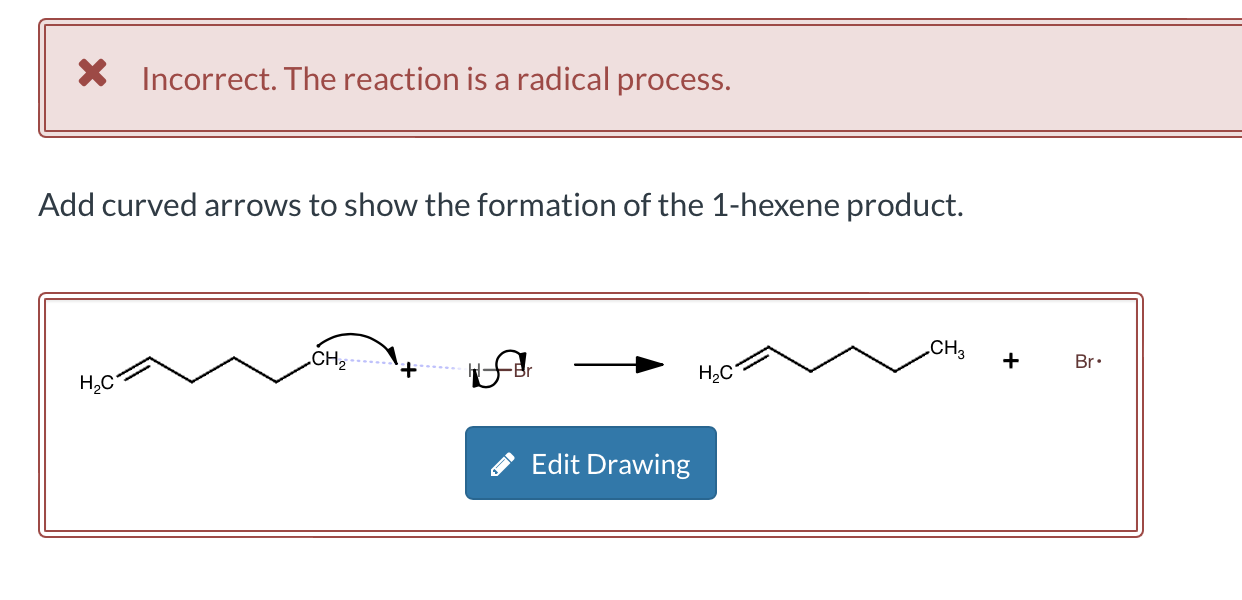 Solved x Incorrect. The reaction is a radical process. Add | Chegg.com