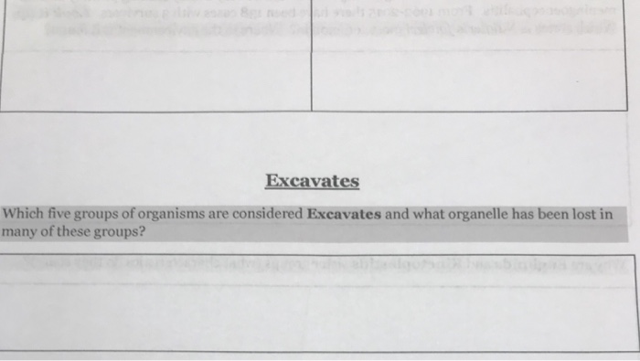 Solved Excavates Which five groups of organisms are | Chegg.com