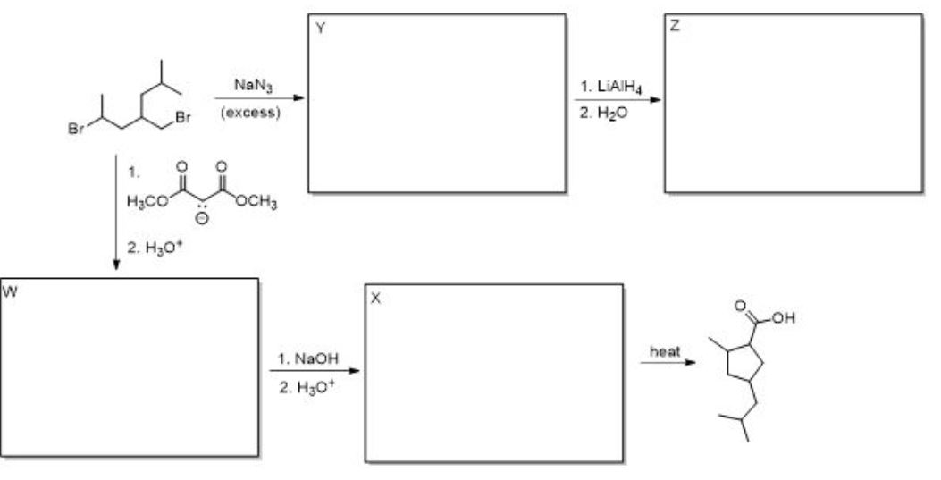 Solved What are the products of these following reactions? | Chegg.com