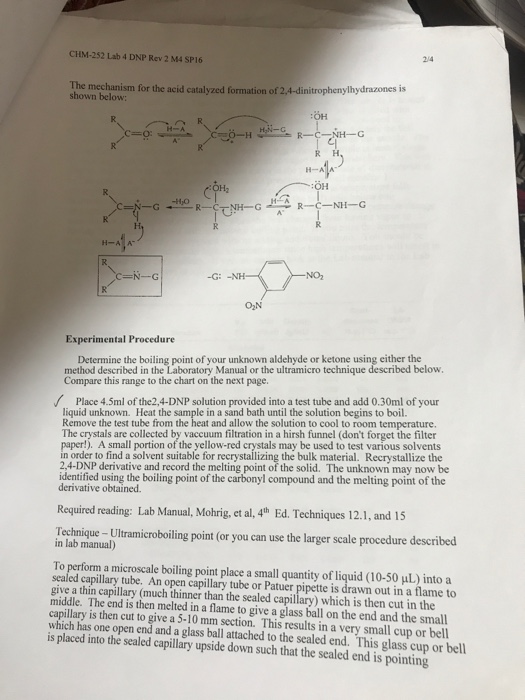 Solved CHM-252 Lab 4 DNP Rev 2 M4 SP16 CHM-252 Laboratory 4: | Chegg.com