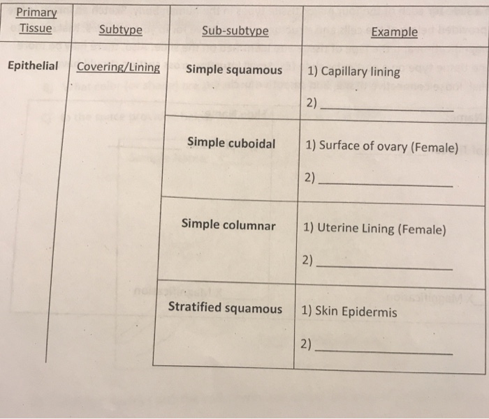 Solved Primary Tissue Subtype Sub-subtype Example Epithelial | Chegg.com