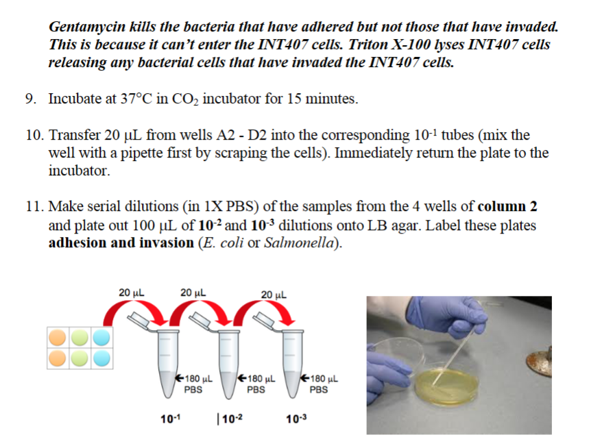 Solved You are provided with the colony counts of the | Chegg.com