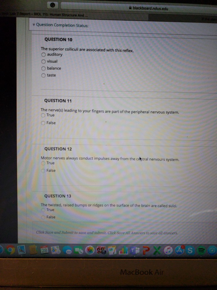 Solved Question Completion Status: QUESTION1 This region of | Chegg.com
