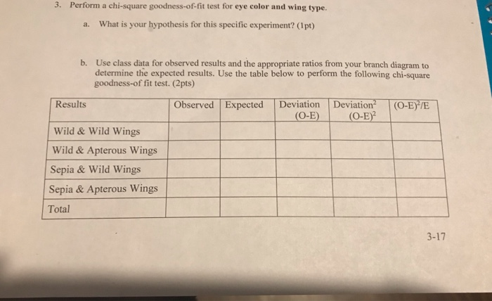 Solved 2019 General Genetics Lab 3- Drosophila Genetics 5 | Chegg.com