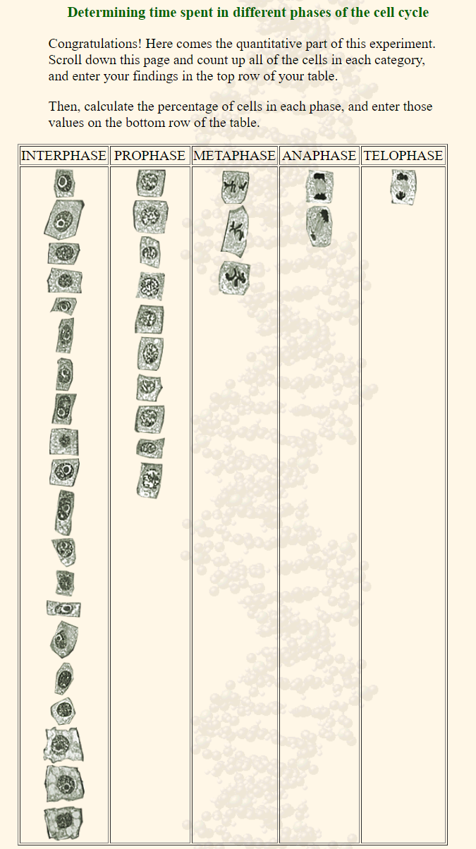 Solved Determining time spent in different phases of the | Chegg.com