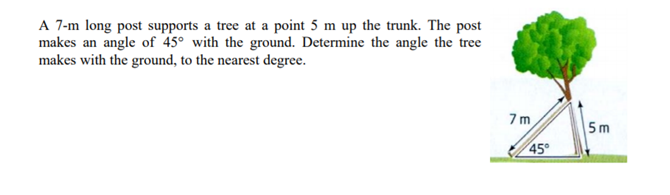 Solved A 7-m long post supports a tree at a point 5 m up the | Chegg.com