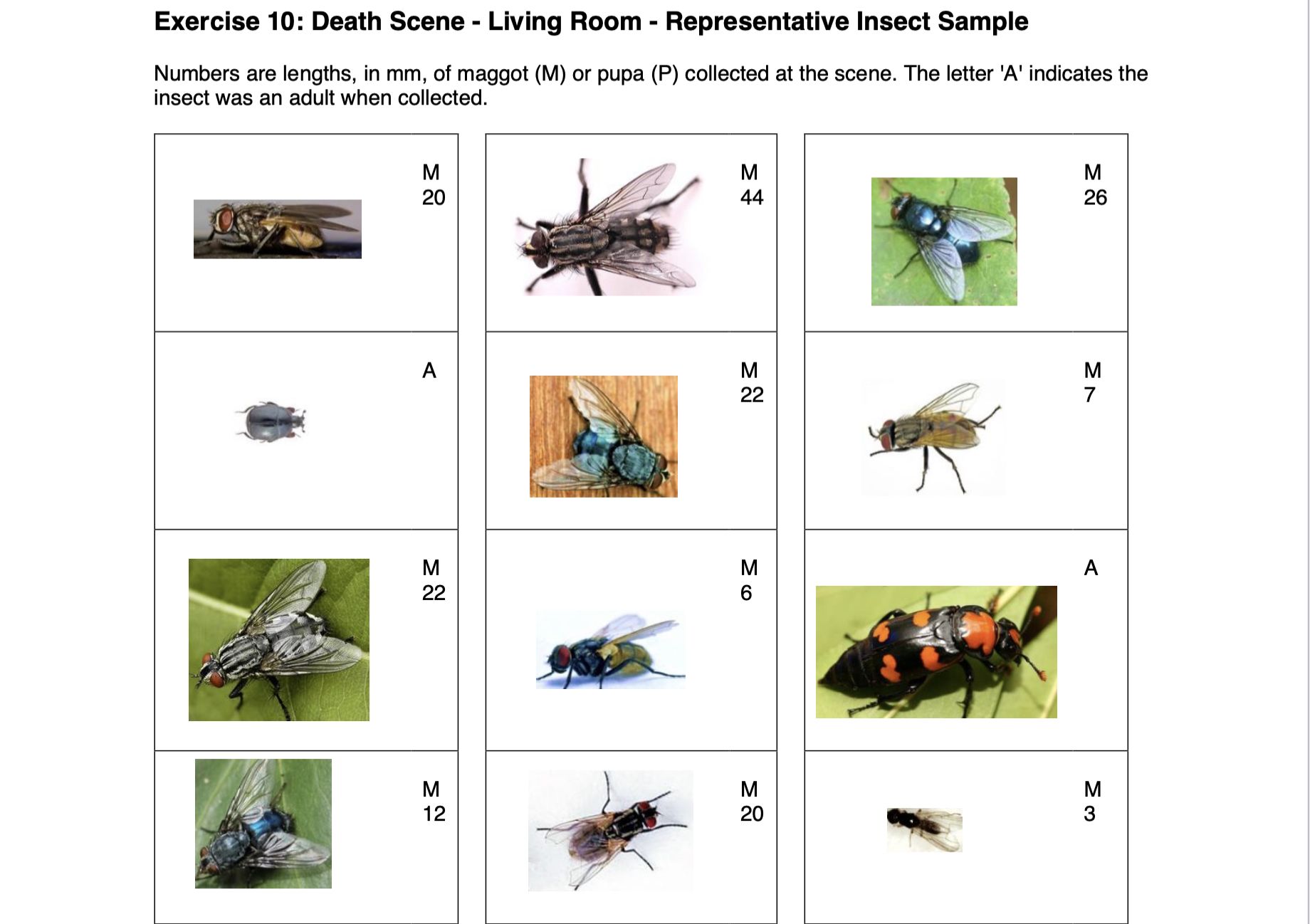 Exercise 10: Death Scene - Living Room Read the | Chegg.com