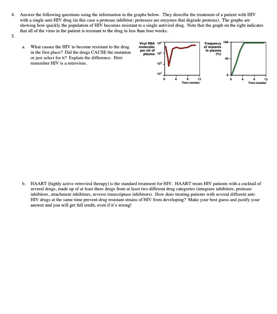 Solved 4 Answer The Following Questions Using The