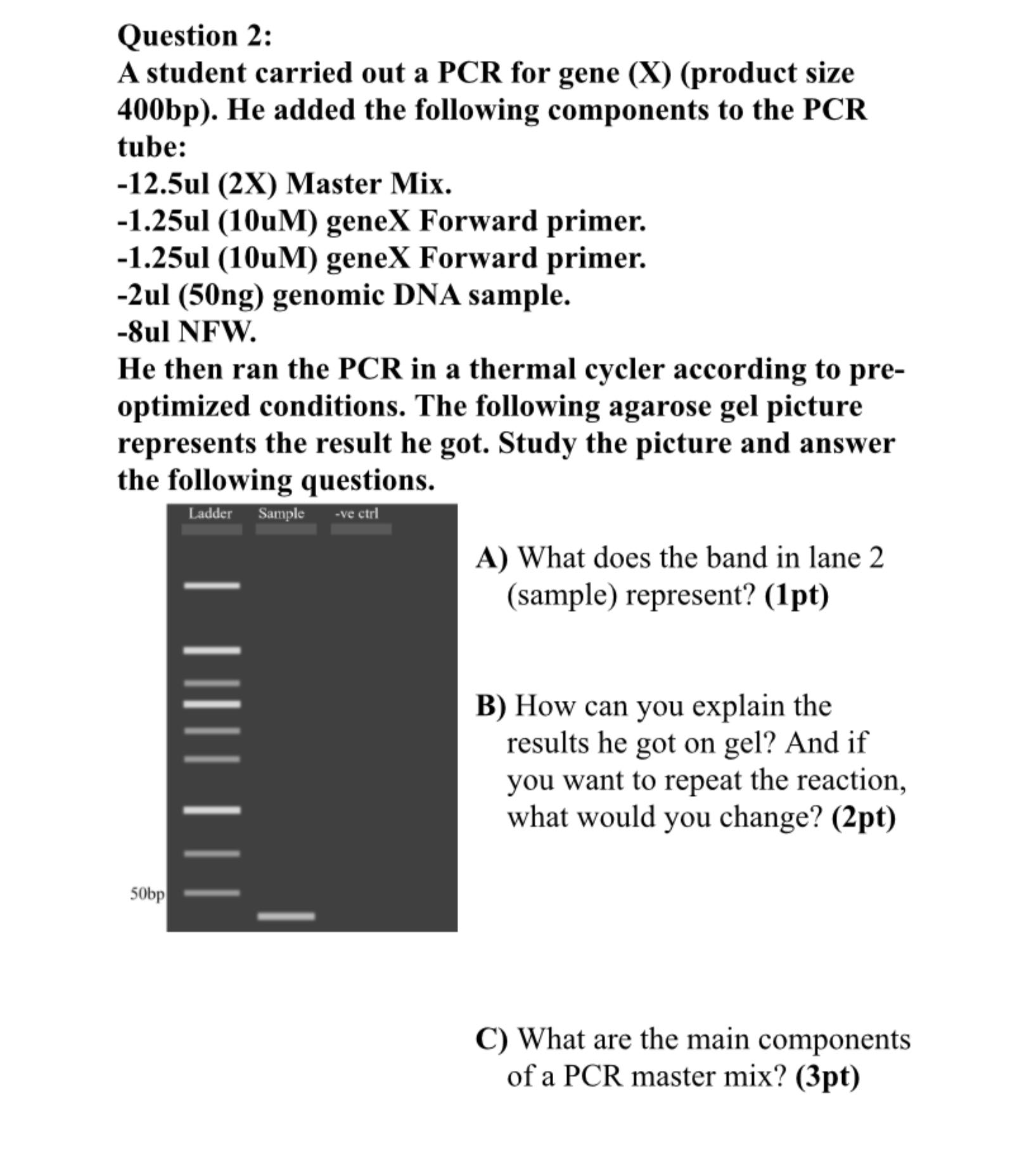 Solved A) ﻿What does the band in lane 2(sample) ﻿represent? | Chegg.com