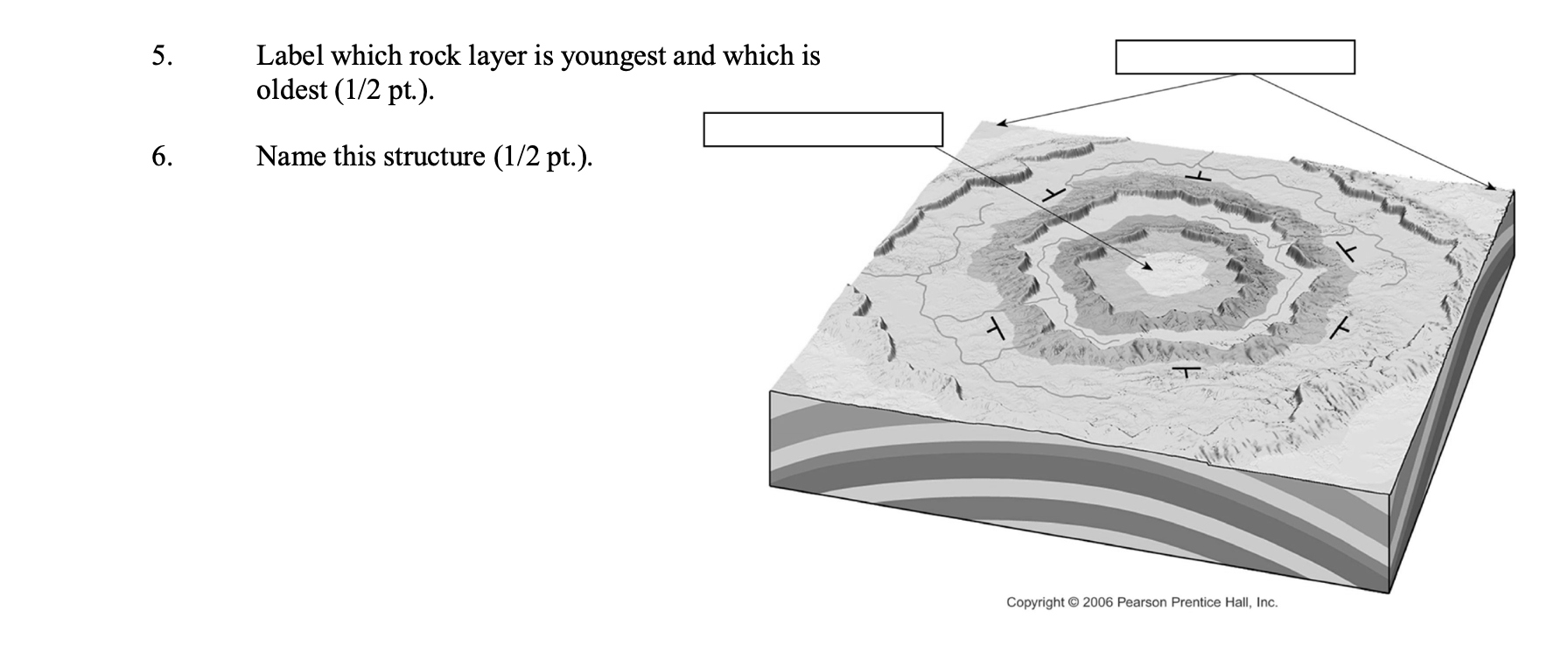 Solved: Label Which Rock Layer Is Youngest And Which Is Ol... | Chegg.com