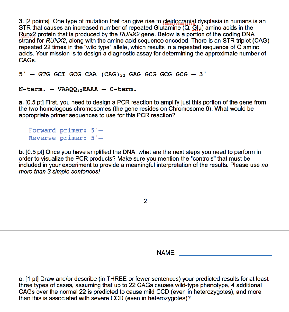 Solved 3. [2 points] One type of mutation that can give rise | Chegg.com