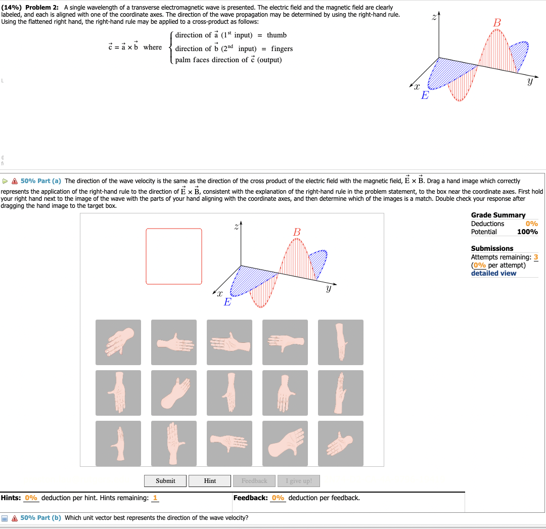 Solved (14%) ﻿Problem 2: A single wavelength of a transverse | Chegg.com