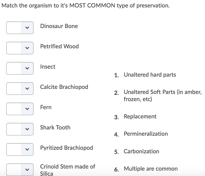 Solved Match the organism to it's MOST COMMON type of | Chegg.com
