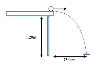 Solved A group of people are trying to roll a marble along a | Chegg.com