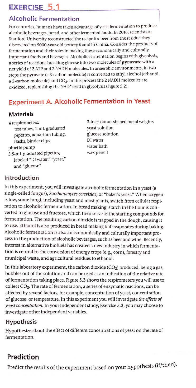 Solved EXERCISE_5.1 Alcoholic Fermentation For centuries, | Chegg.com