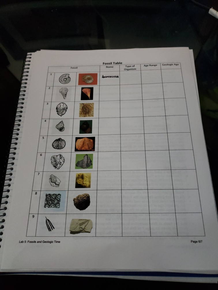 Solved Fossil Table Geologic Age Type of Organism Age Range | Chegg.com