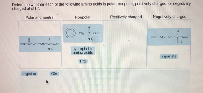 Solved Determine whether each of the following amino acids | Chegg.com