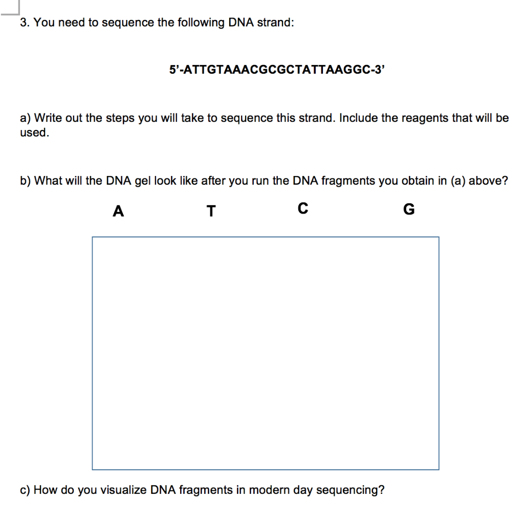 Solved 3. You need to sequence the following DNA strand: | Chegg.com