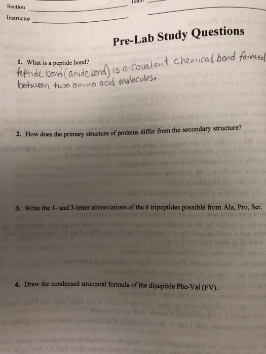 Solved Section Telll Instructor Pre-Lab Study Questions | Chegg.com Solved Section Telll Instructor Pre-Lab Study Questions | Chegg.com