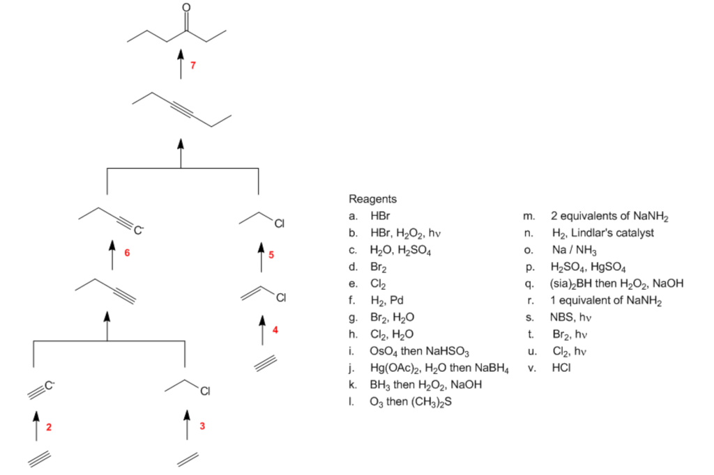 Solved m. n. o. 5 p. { 9. Reagents a. HBr b. HBr, H2O2, hv C | Chegg.com