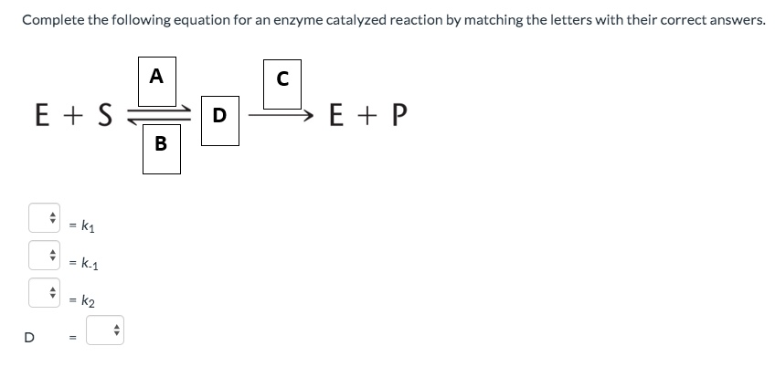 Solved Complete the following equation for an enzyme | Chegg.com