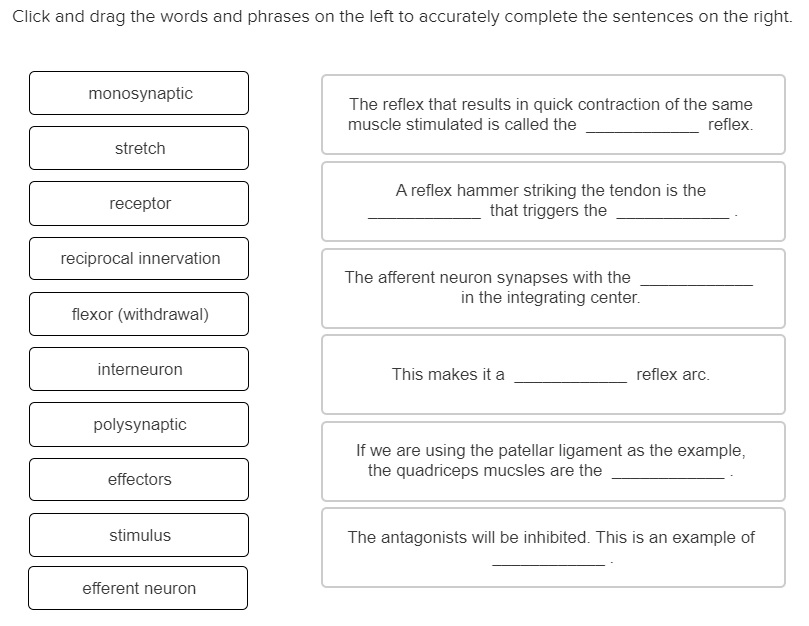 Solved Click and drag the words and phrases on the left to | Chegg.com