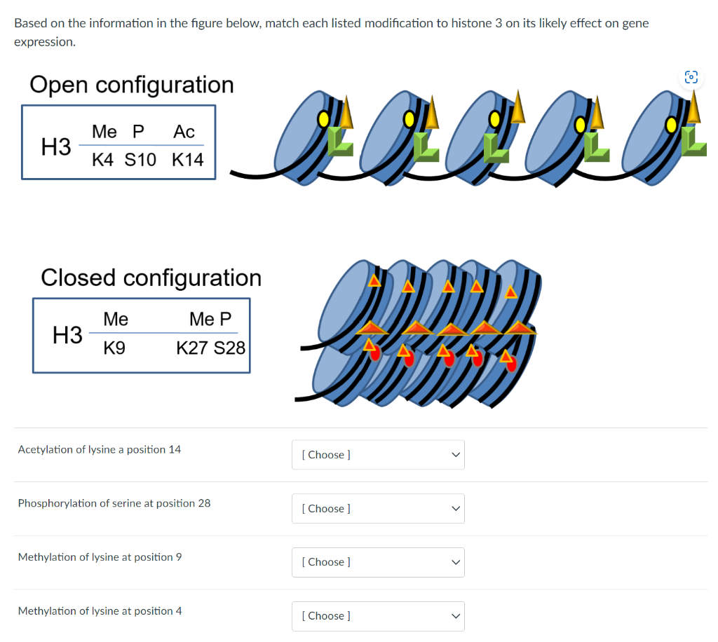 Solved The Choose Answer choices are INCREASE or DECREASE | Chegg.com
