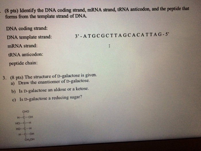 Solved (8 pts) Identify the DNA coding strand, mRNA strand, | Chegg.com