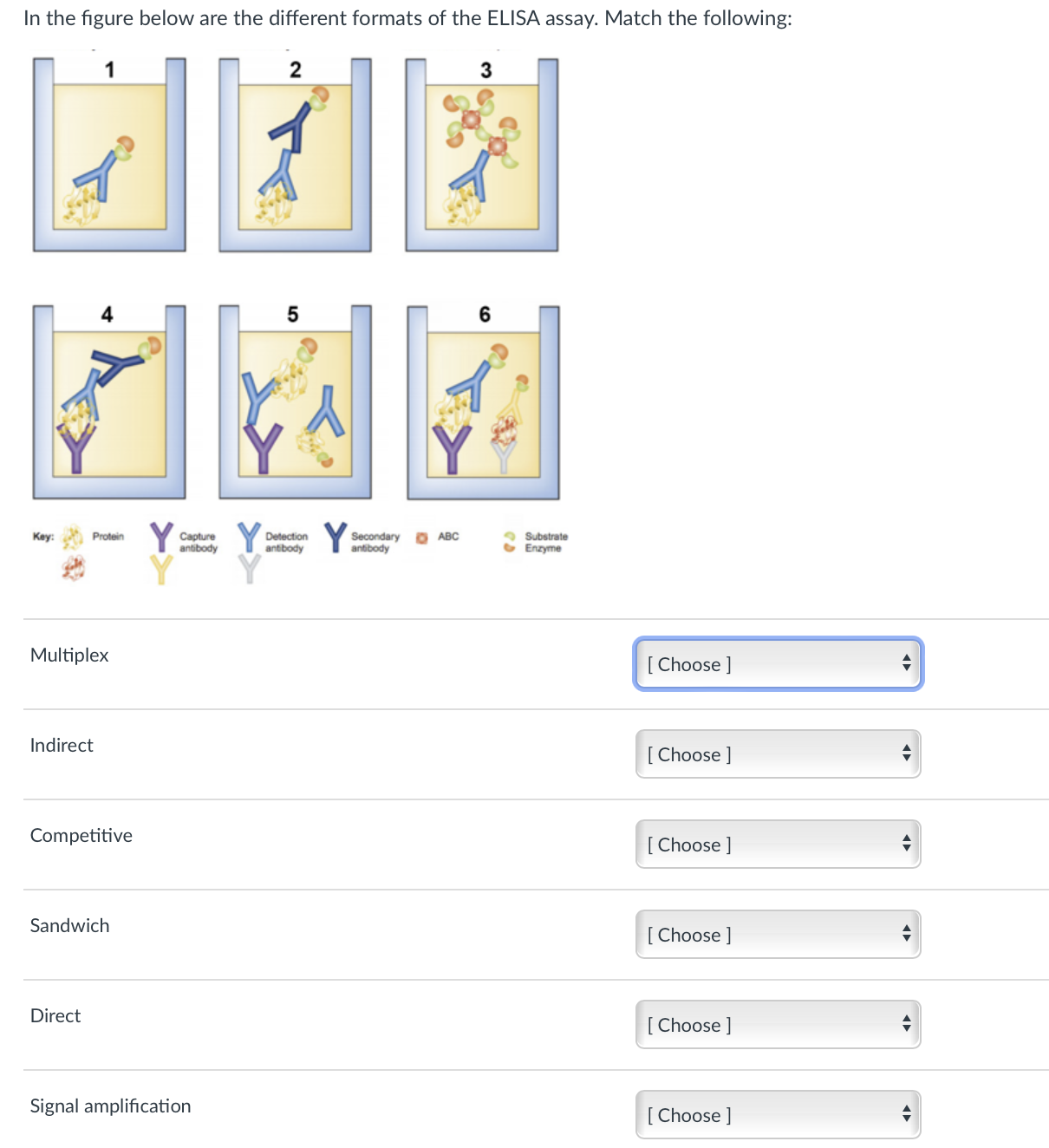 Solved In the figure below are the different formats of the | Chegg.com