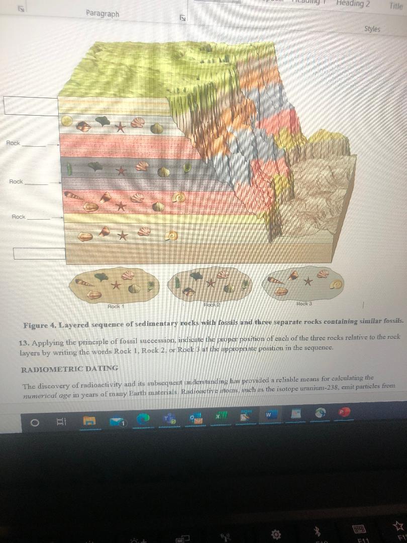 Solved Applying the principle of fossil succession, indicate | Chegg.com