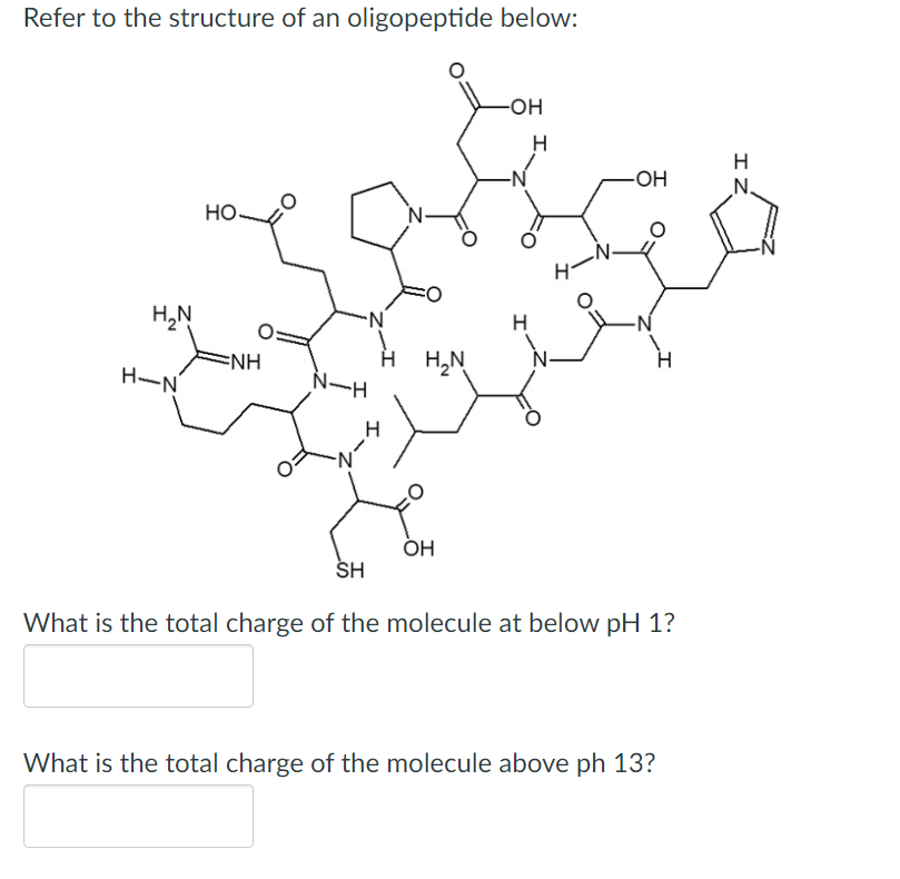 Solved Refer to the structure of an oligopeptide below: -OH | Chegg.com