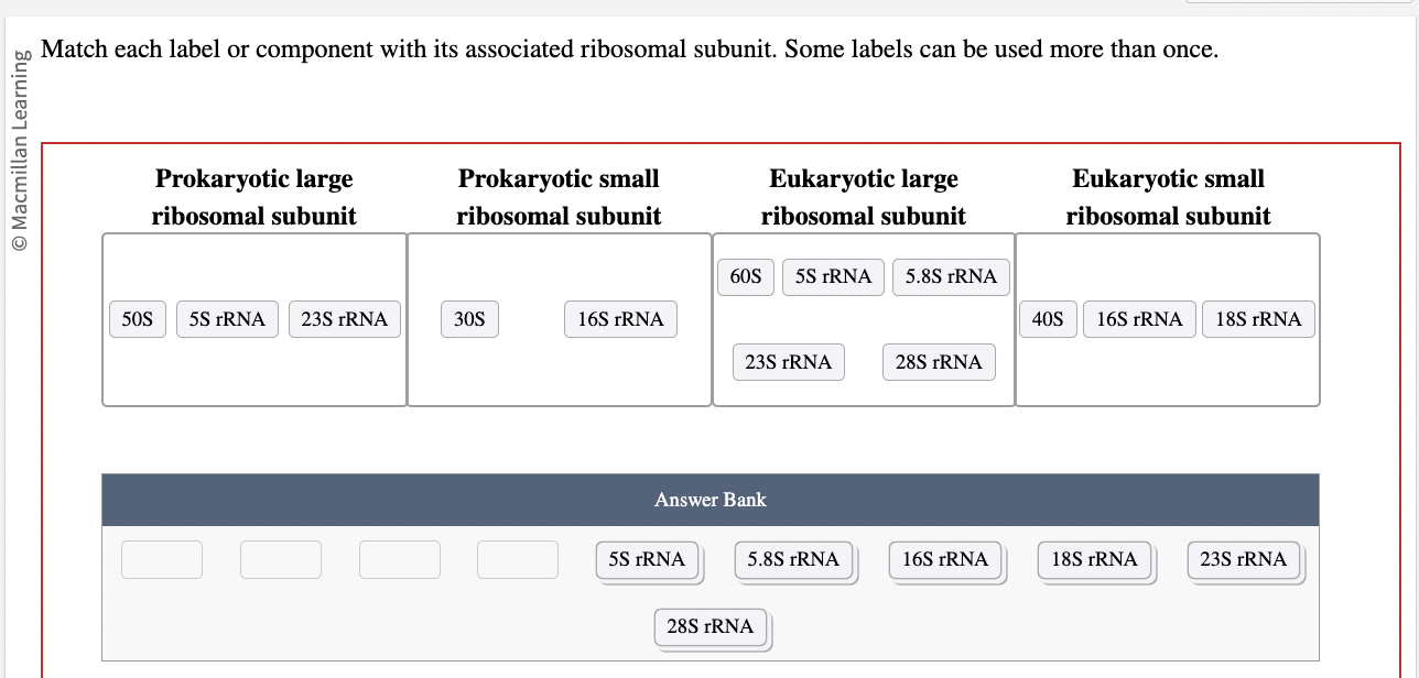 Solved Match each label or component with its associated | Chegg.com