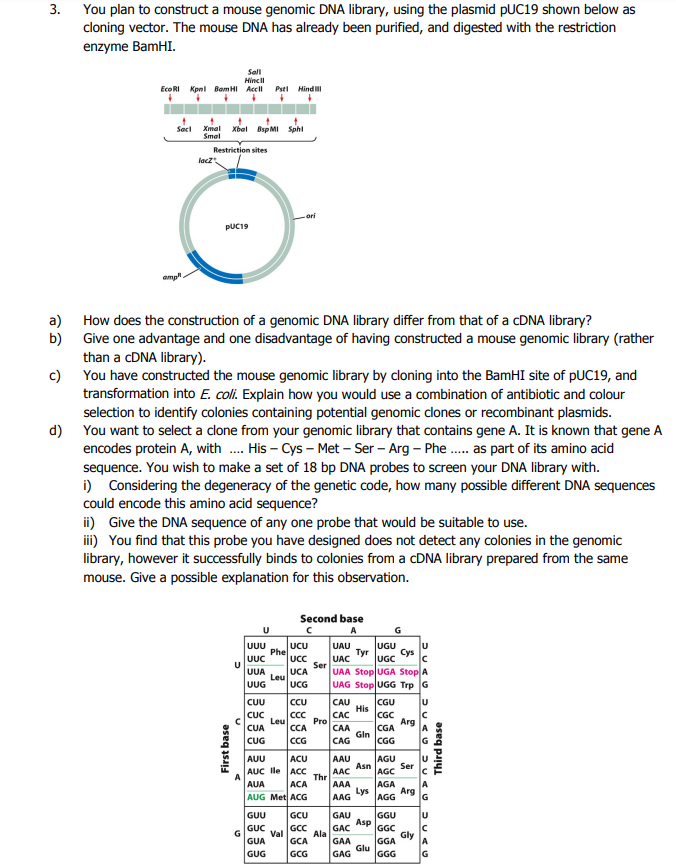 Solved 3. You plan to construct a mouse genomic DNA library, | Chegg.com