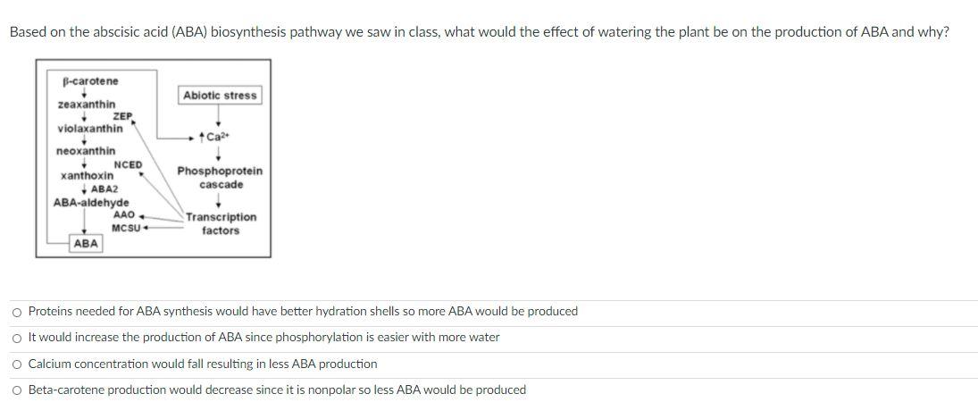 Solved Based on the abscisic acid (ABA) biosynthesis pathway | Chegg.com