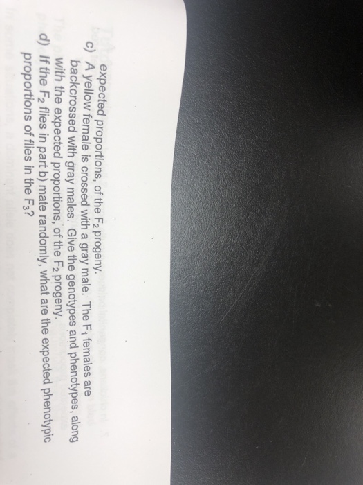 Solved 3. In Drosophila, yellow body is due to an X-linked | Chegg.com
