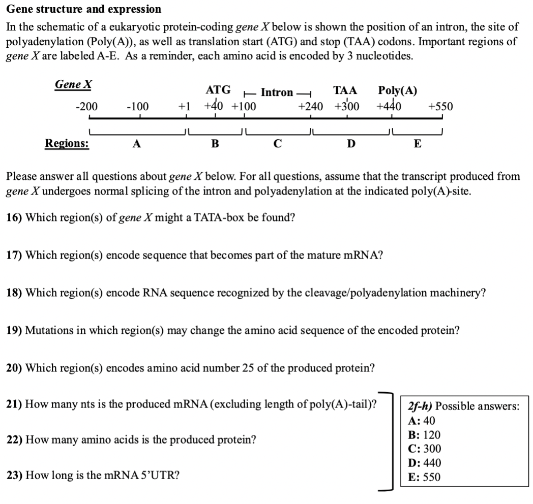 Solved Please ONLY answer #21 ﻿and #23 ﻿with explanation. | Chegg.com