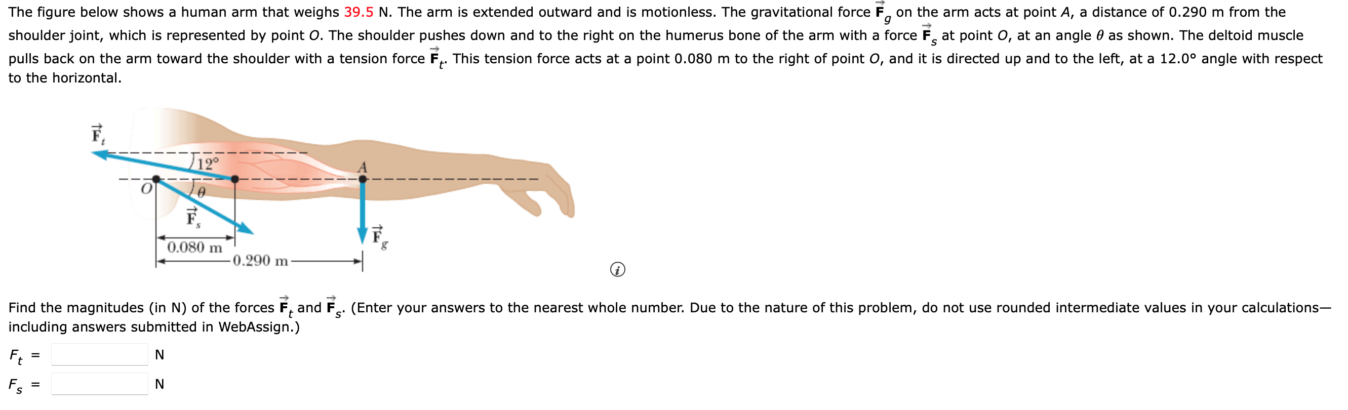 Solved The figure below shows a human arm that weighs 39.5 | Chegg.com