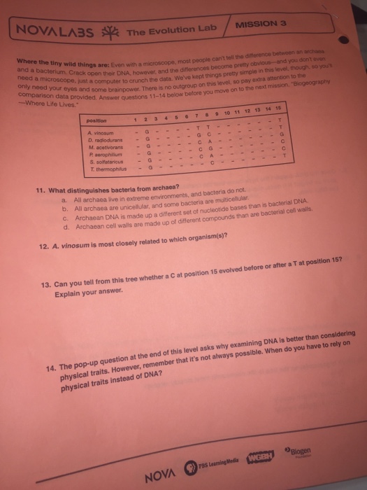 Solved NOV^ LA35 The Evolution Lab MISSION 3 Evolut Where | Chegg.com