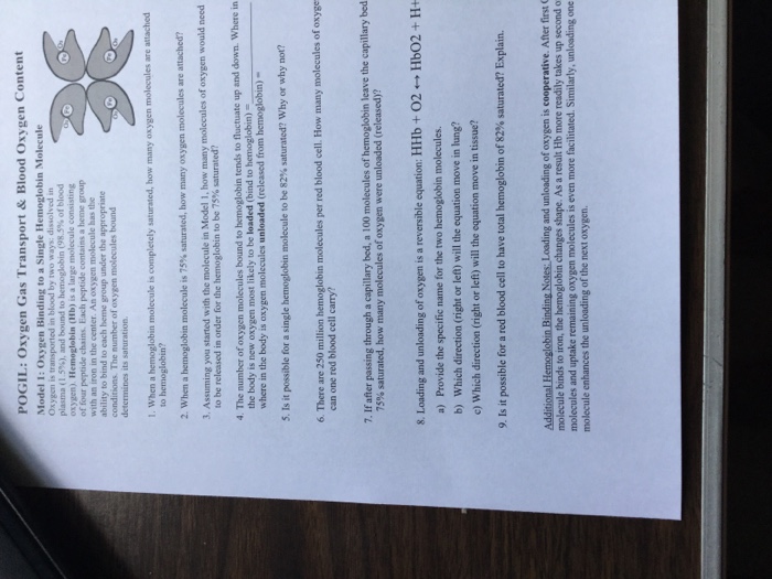 Solved POGIL: oxygen Gas Transport & Blood Oxygen Content | Chegg.com