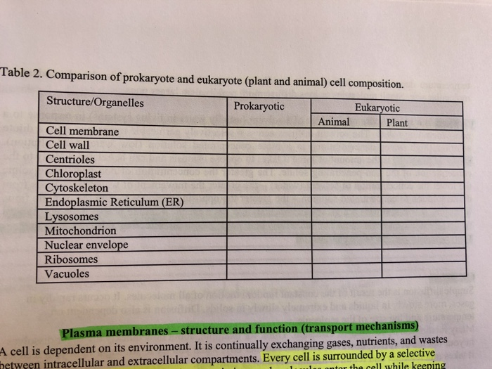 Solved Table 2. Comparison of prokaryote and eukaryote | Chegg.com