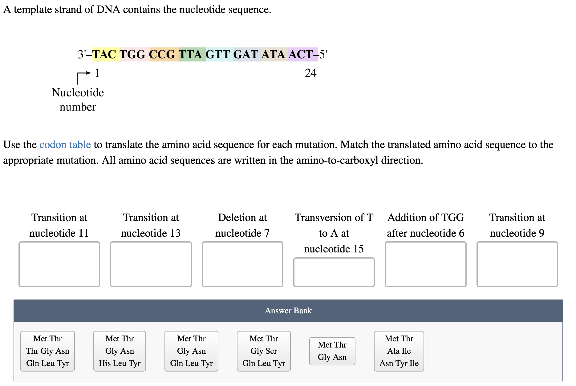 Solved A template strand of DNA contains the nucleotide | Chegg.com