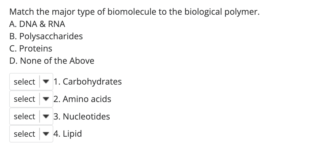 Solved Match the major type of biomolecule to the biological | Chegg.com